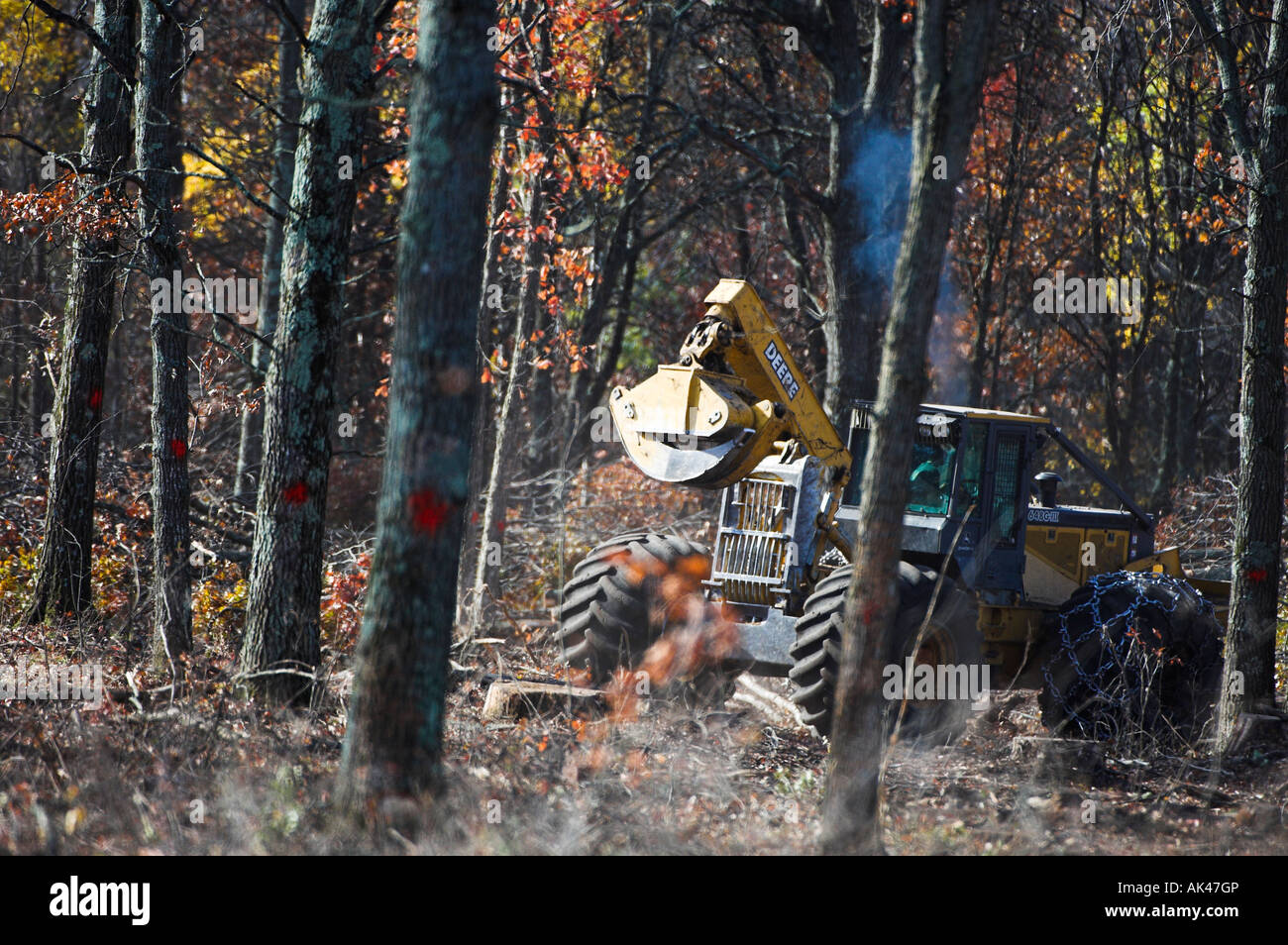 Heavy equipment clearing trees oak hi-res stock photography and images ...