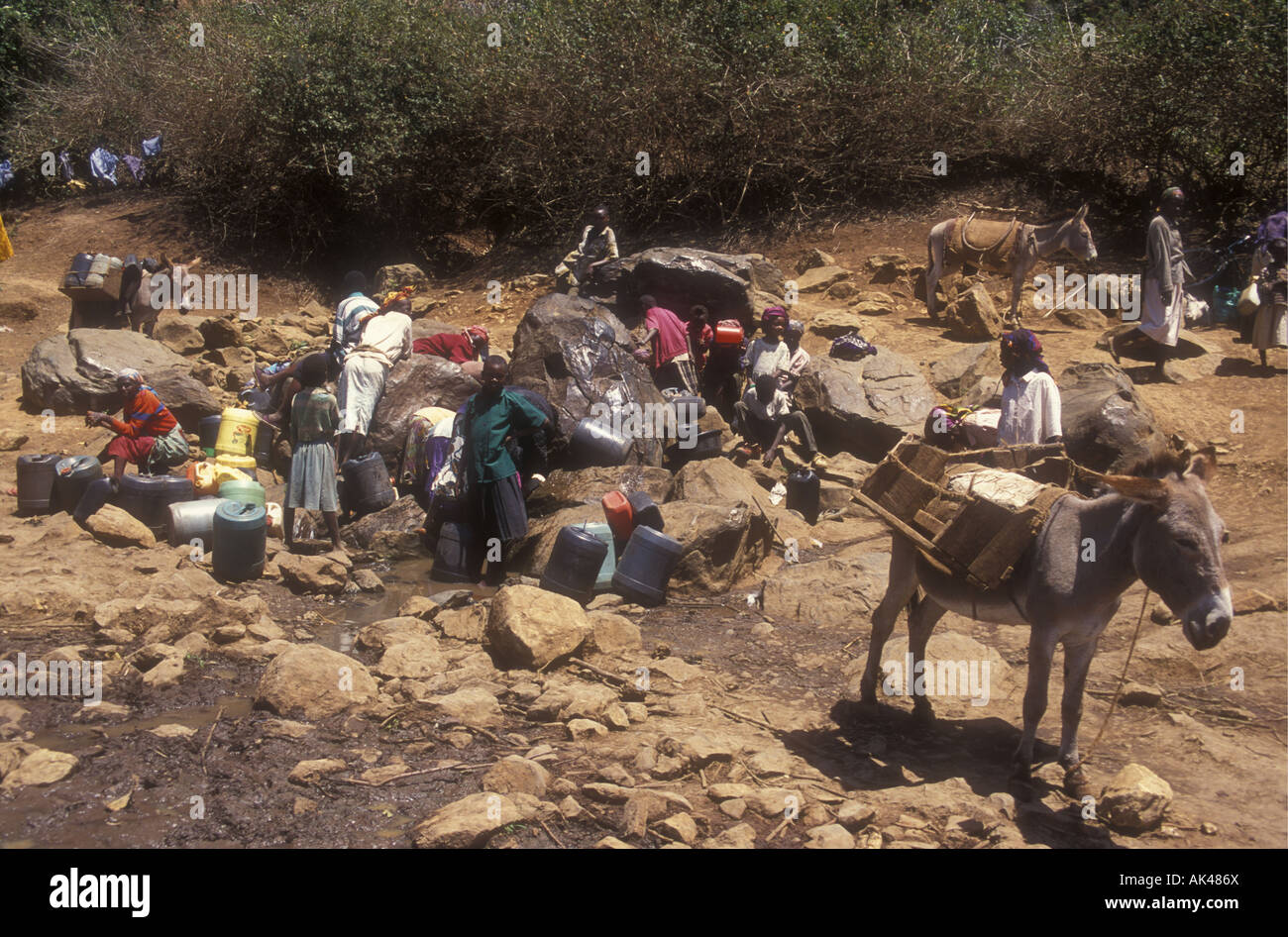 Crowd of Meru people crowd around a tiny spring to collect water Meru ...