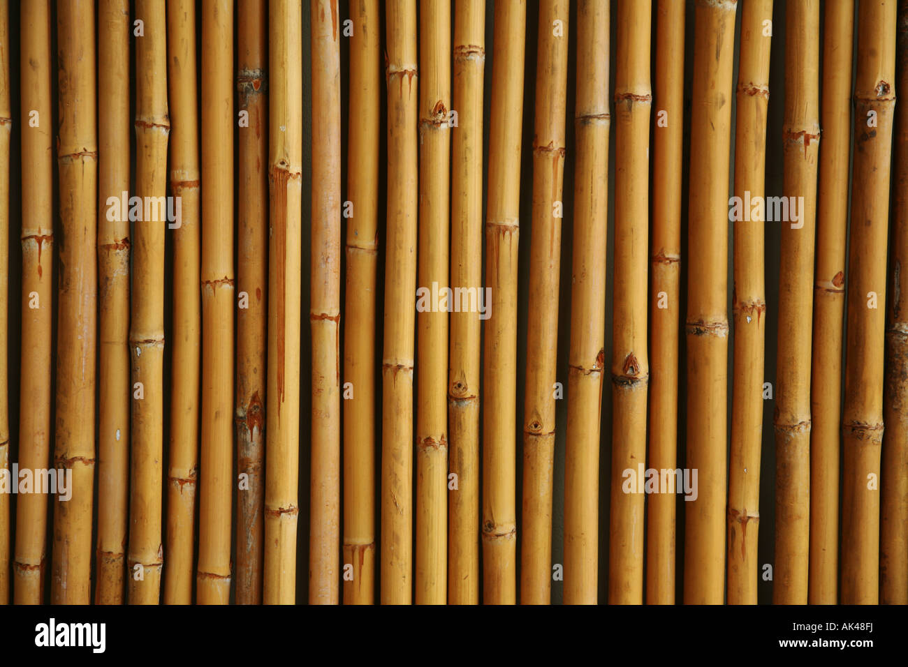 Bambusoideae pattern hi-res stock photography and images - Alamy