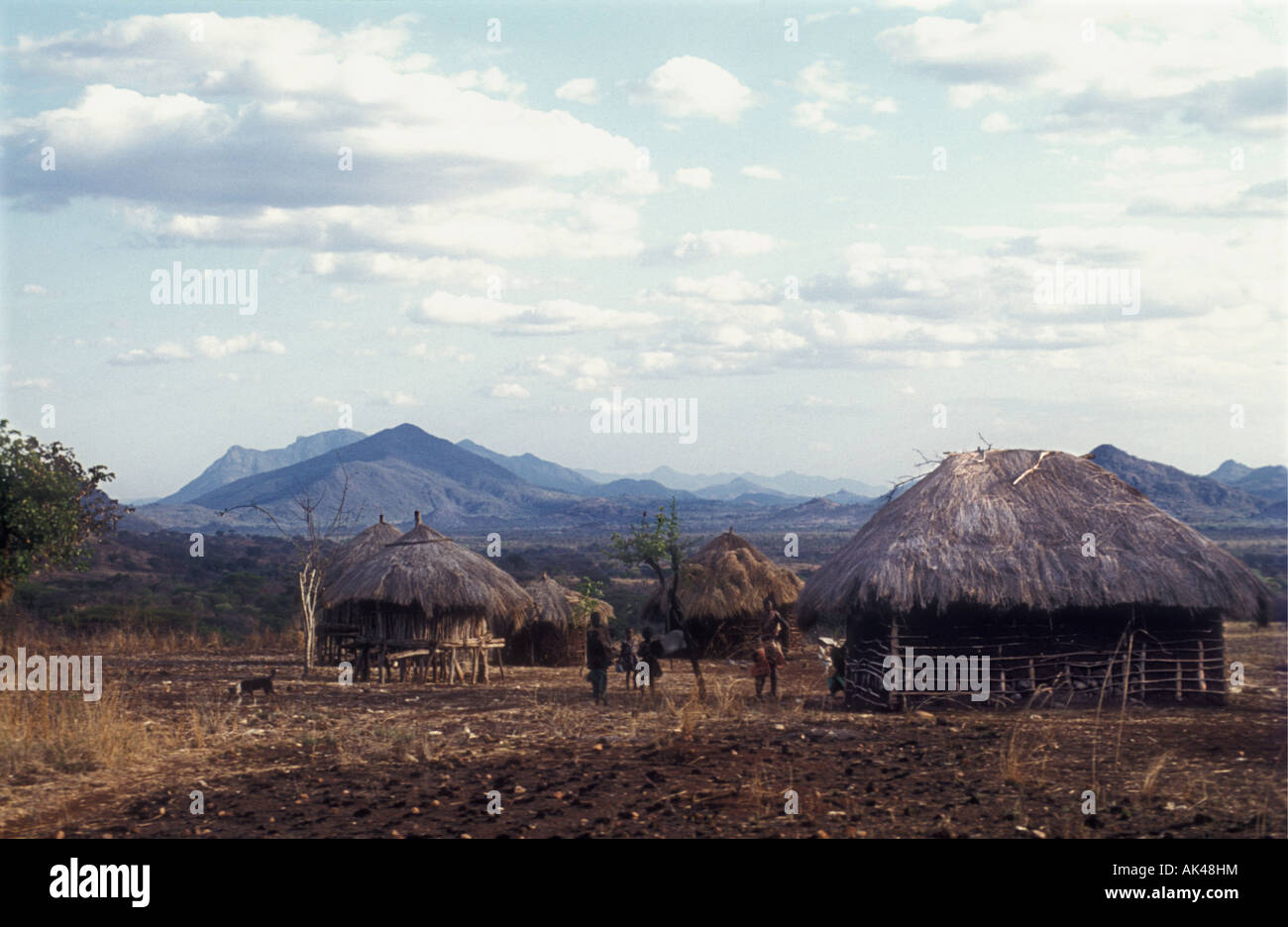 Traditional Meru homestead of subsistence farmers in Meru district ...