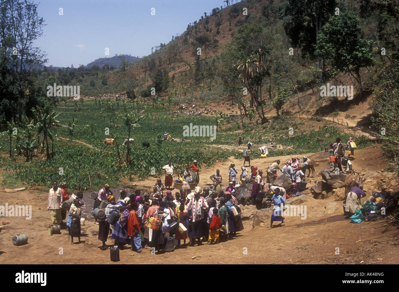 Crowd of Meru people crowd around a tiny spring to collect water Meru ...