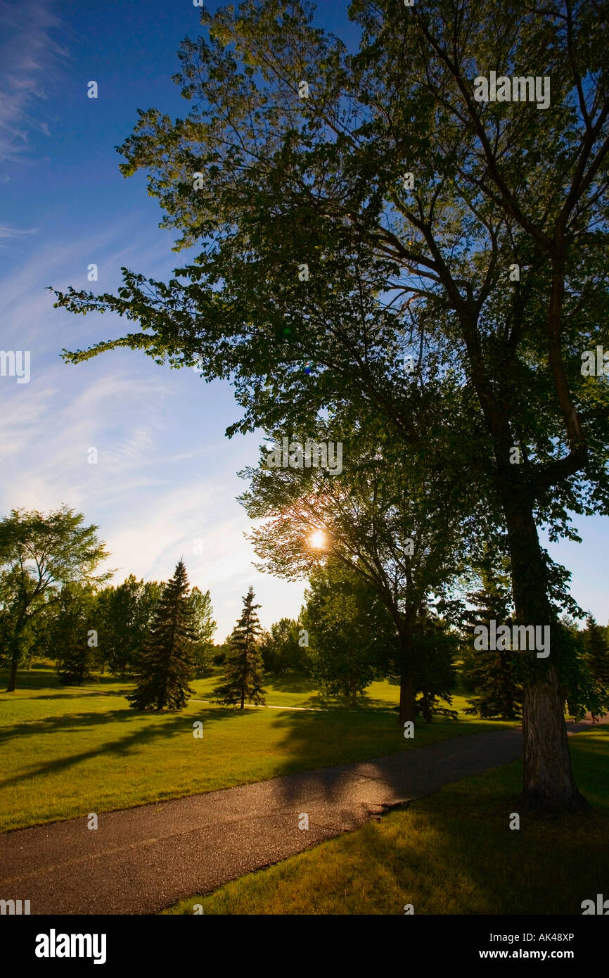 Road through a park Stock Photo - Alamy