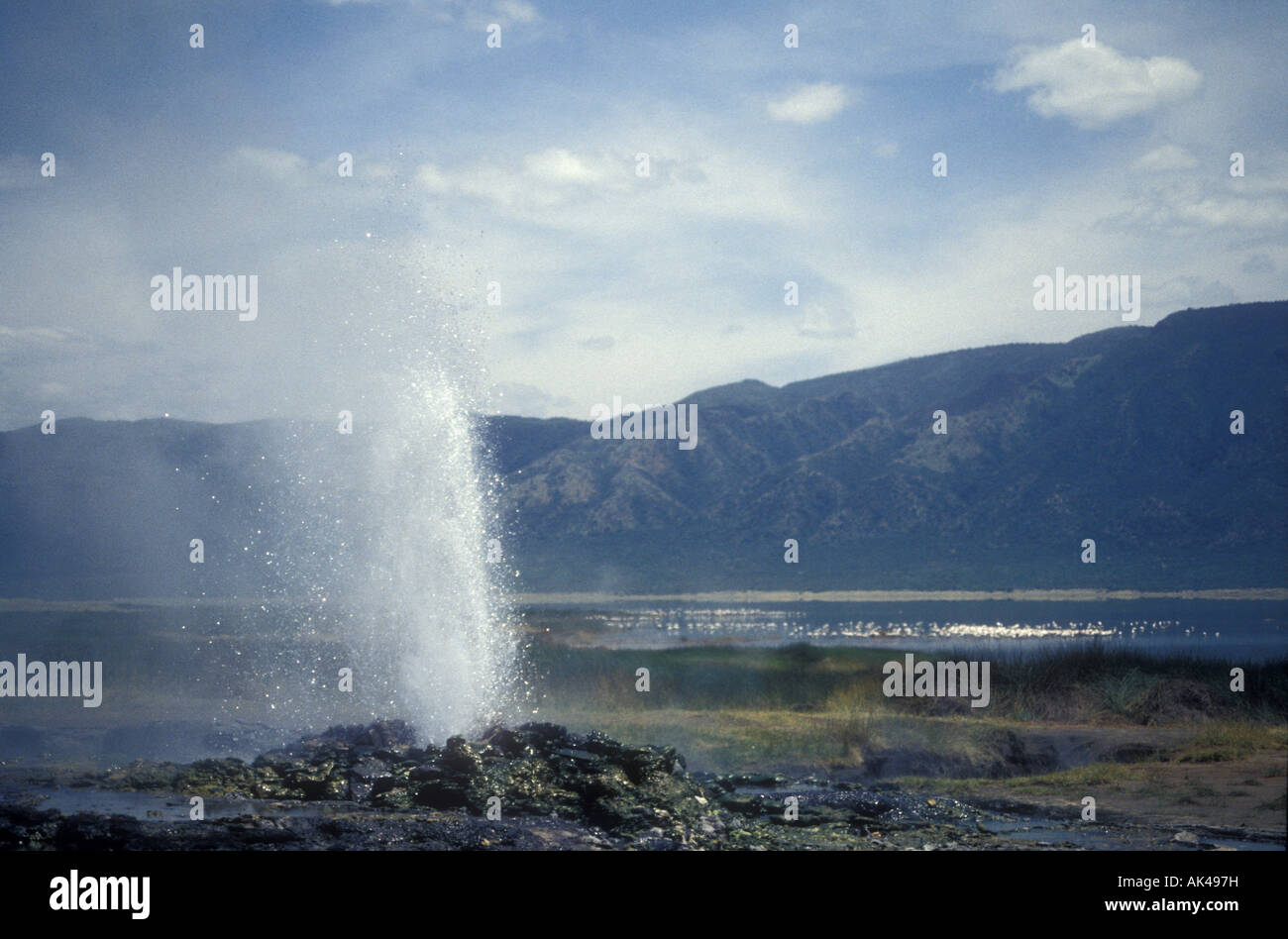 Hot geyser Lake Bogoria in the Great Rift Valley Kenya East Africa ...