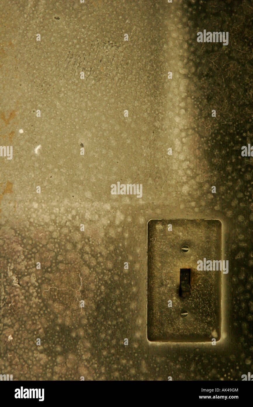 Burnt light switch on a room that had been burned by fire Damage is ...