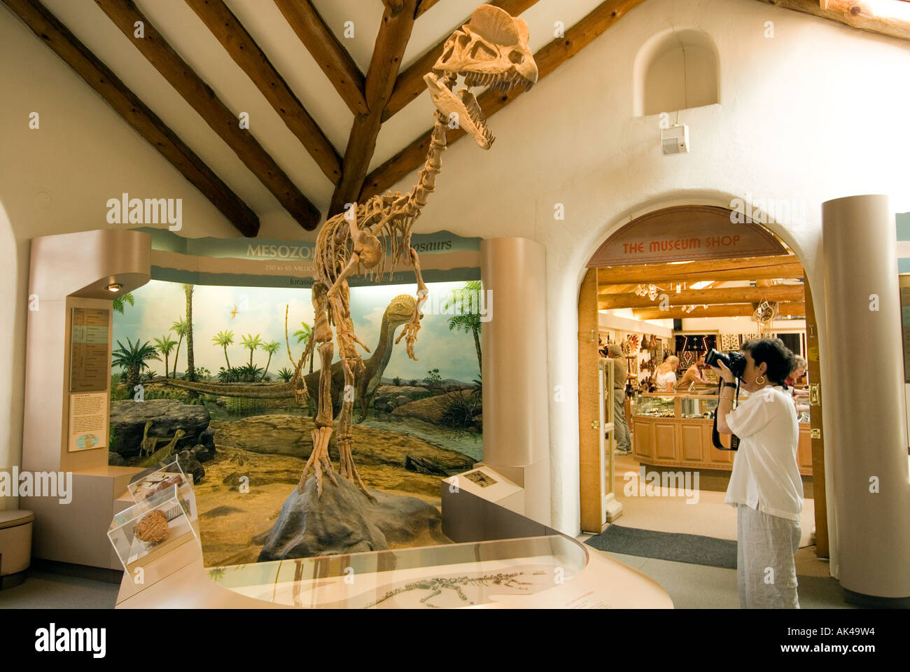 ARIZONA FLAGSTAFF Museum of Northern Arizona Woman taking picture of ...
