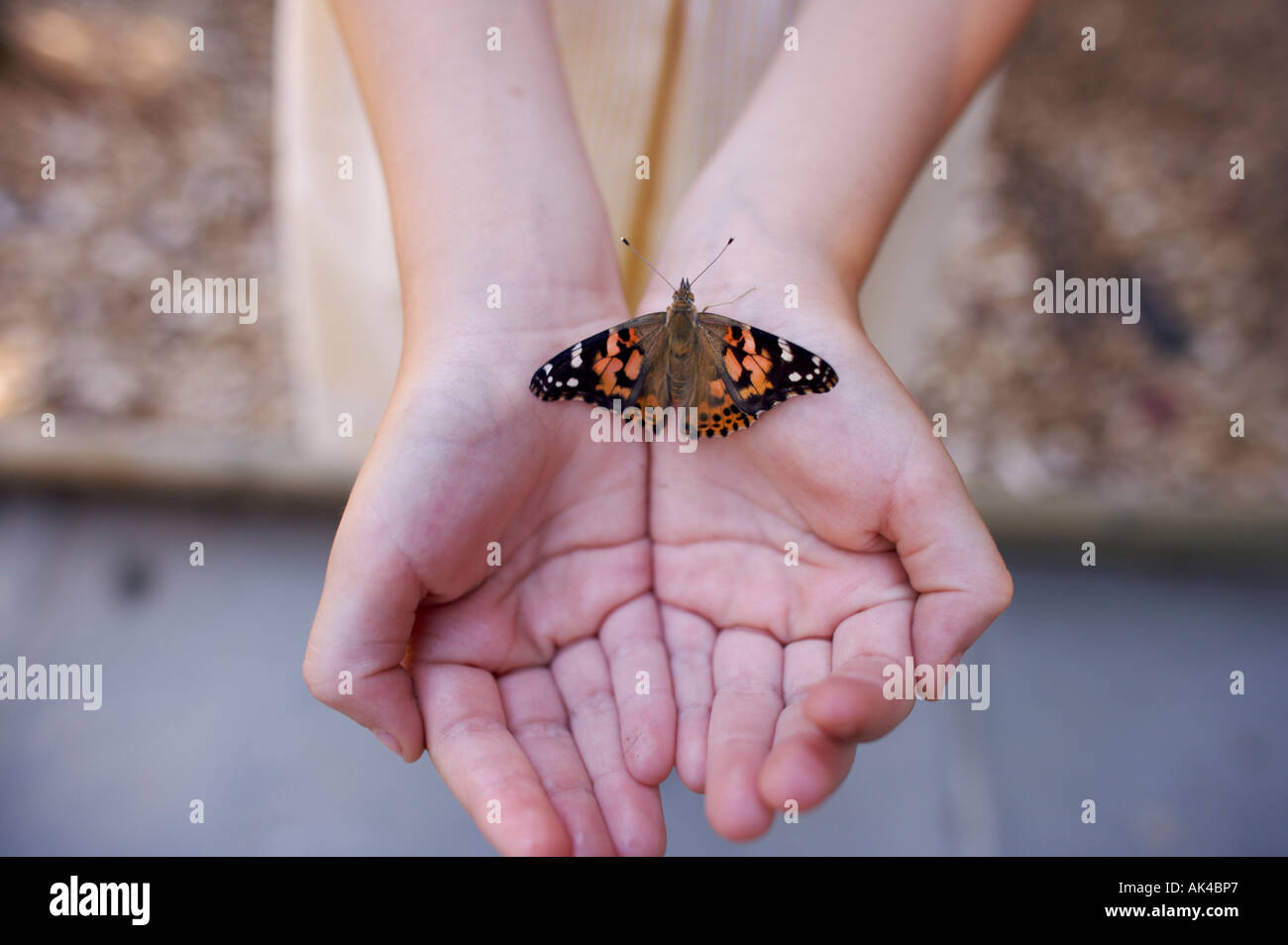 Butterfly in a young child Stock Photo - Alamy