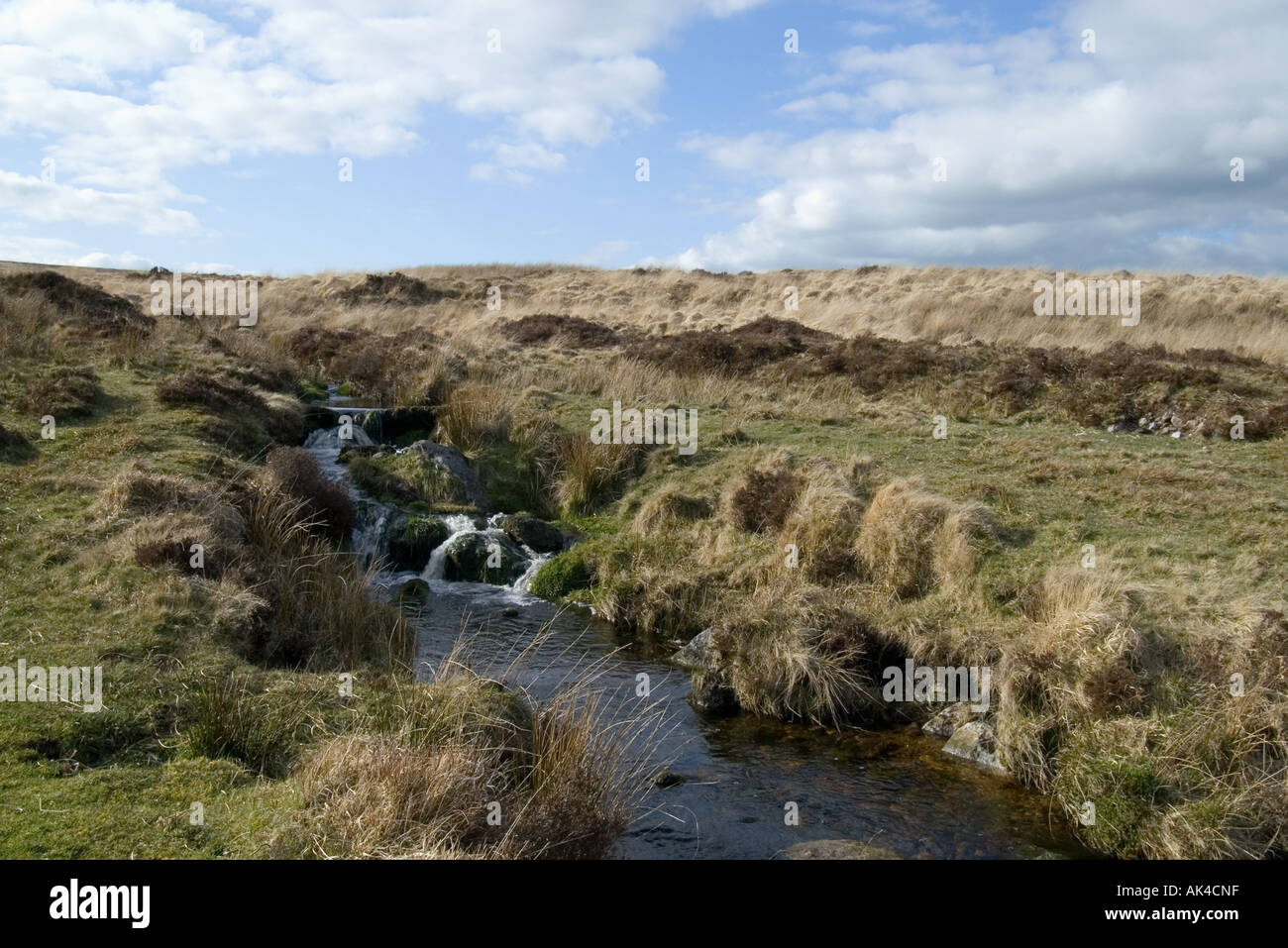 Pure moor hi-res stock photography and images - Alamy