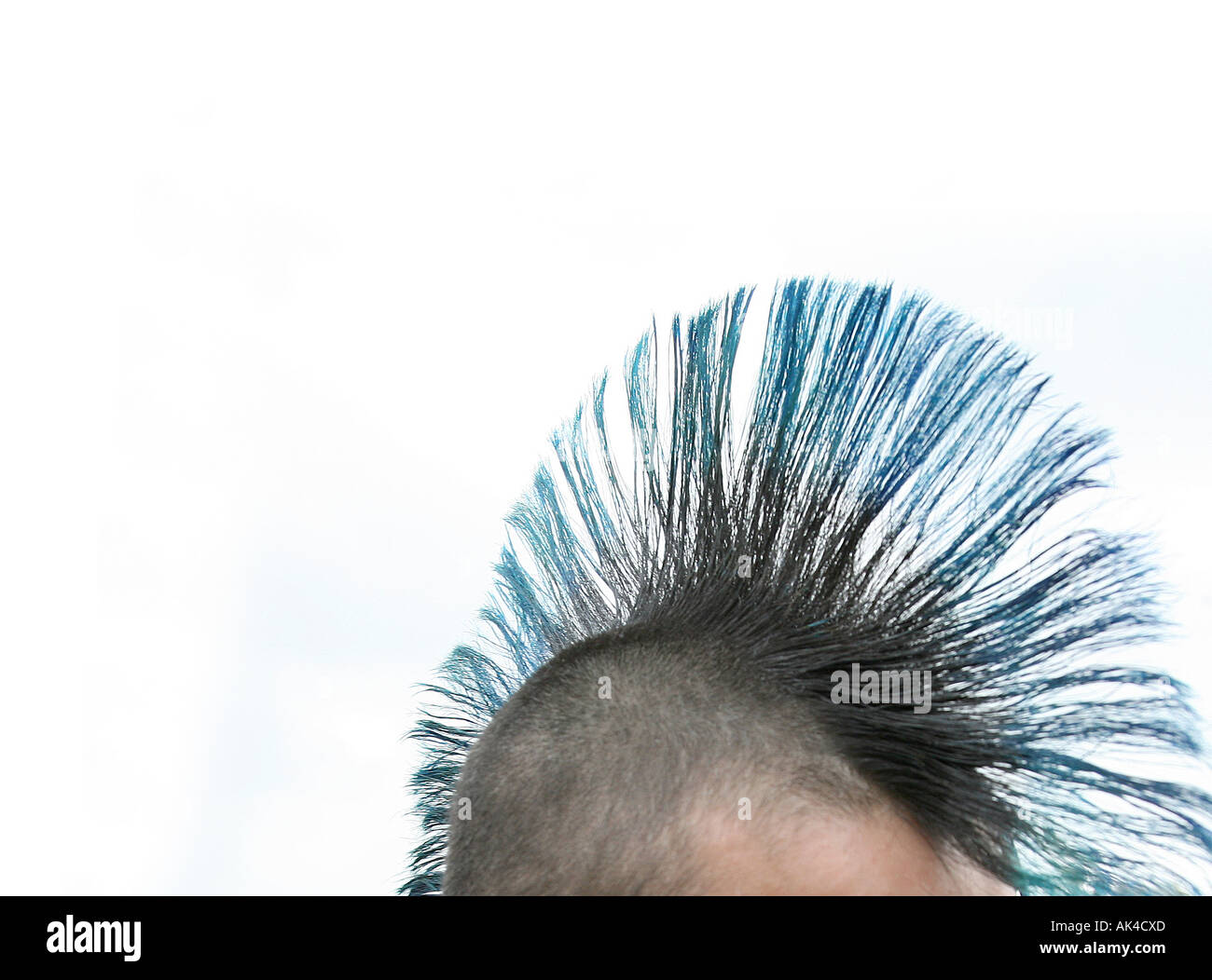 Mohican profile hi-res stock photography and images - Alamy