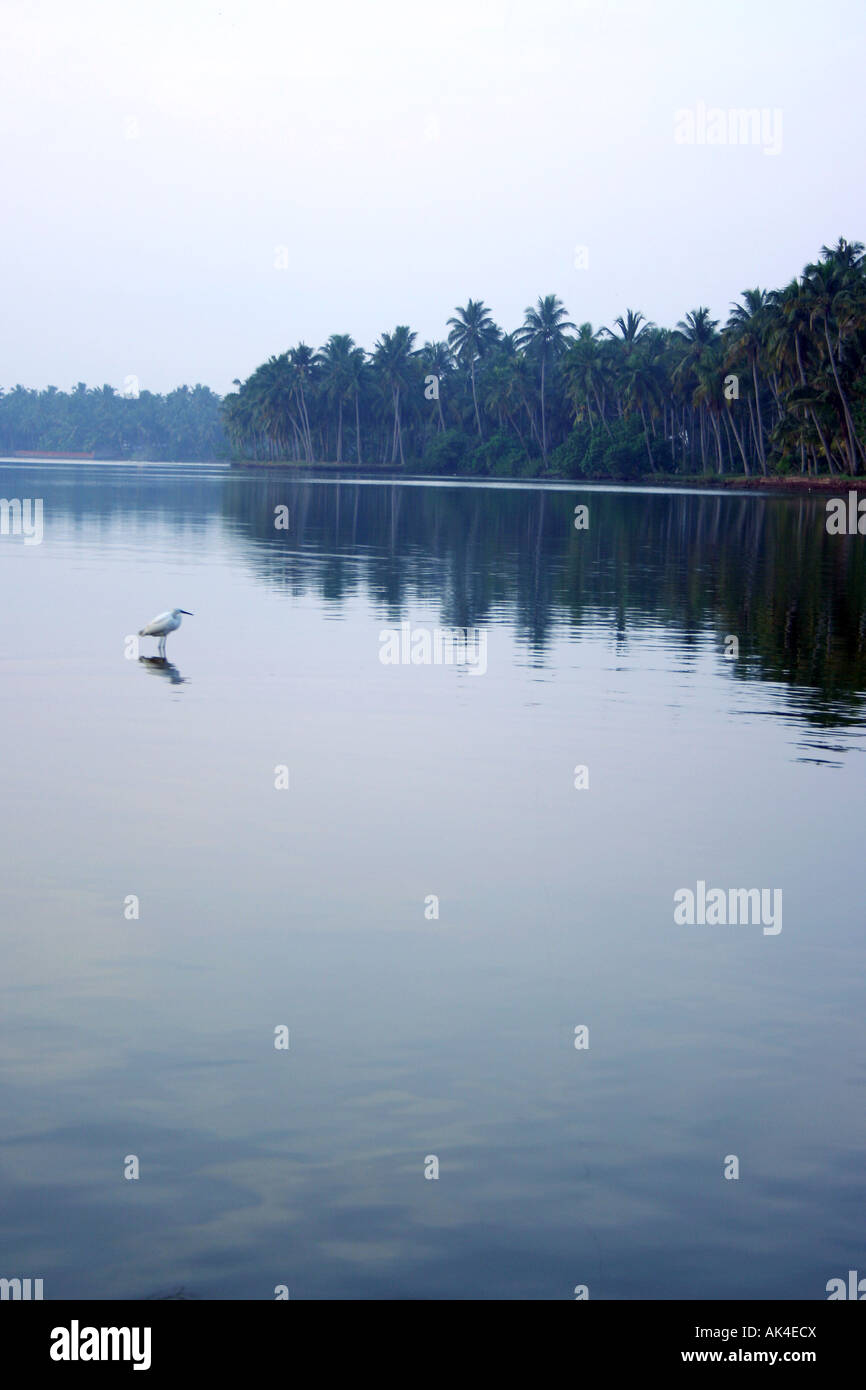 Bharathapuzhariver hi-res stock photography and images - Alamy