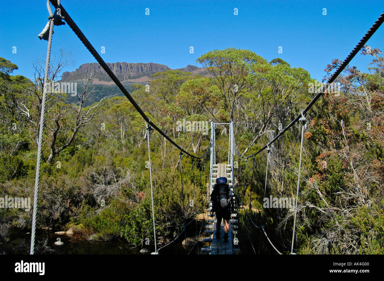 rope bridge crossing Narcissus River on Overland Track in Cradle ...