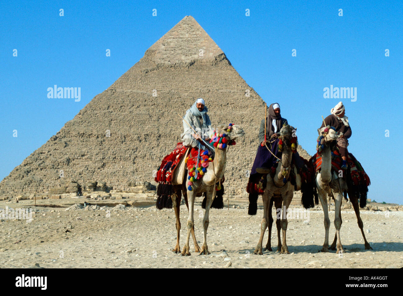 Men camels pyramids giza hi-res stock photography and images - Alamy