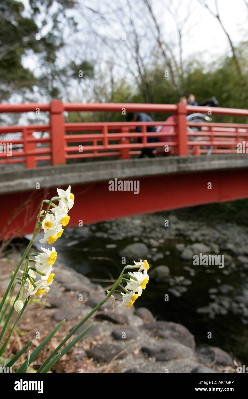 View of red bridge Stock Photo - Alamy