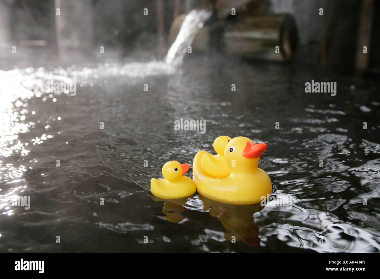 Rubber duck in hot spring Stock Photo - Alamy