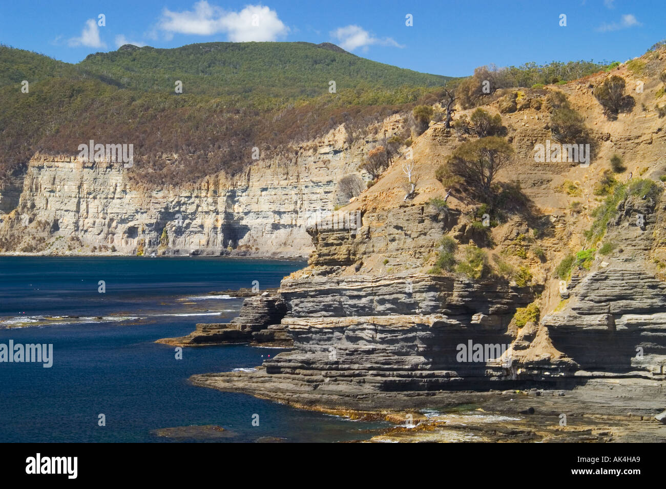 fossil cliffs in Maria Island Nationalpark Tasmania Australia Stock ...