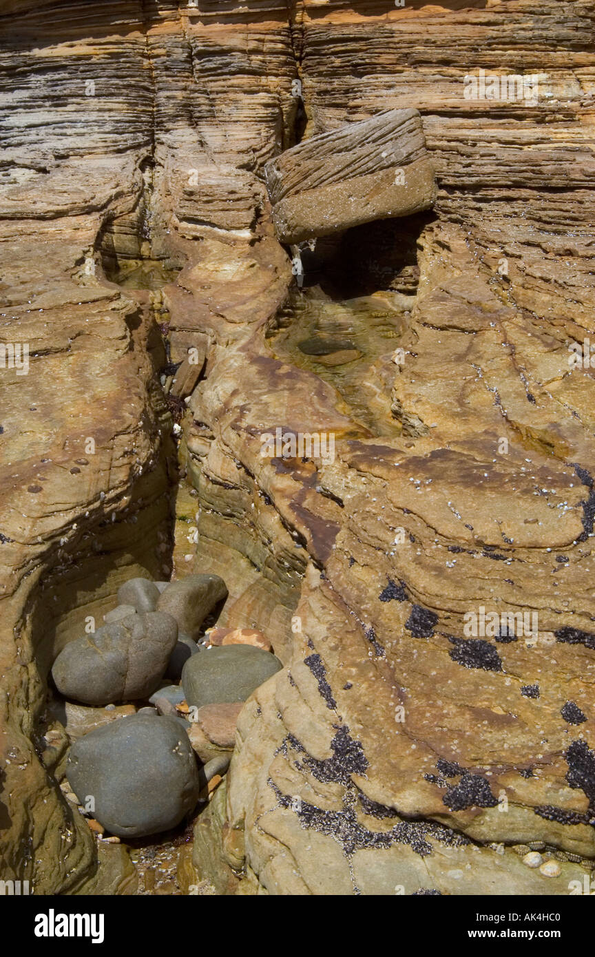 painted cliffs in Maria Island Nationalpark Tasmania Australia Stock ...