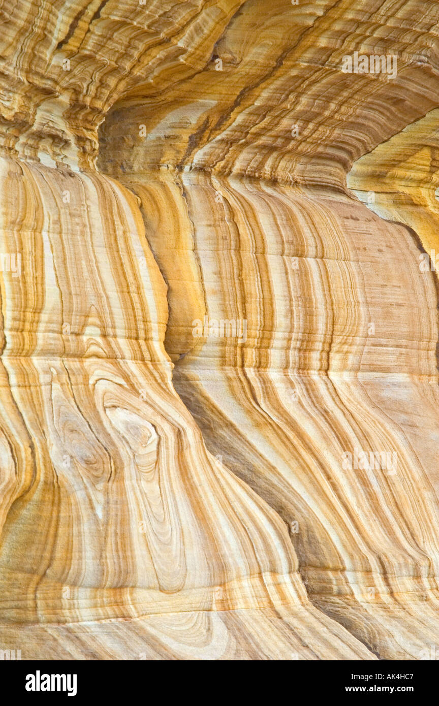 painted cliffs in Maria Island Nationalpark Tasmania Australia Stock ...