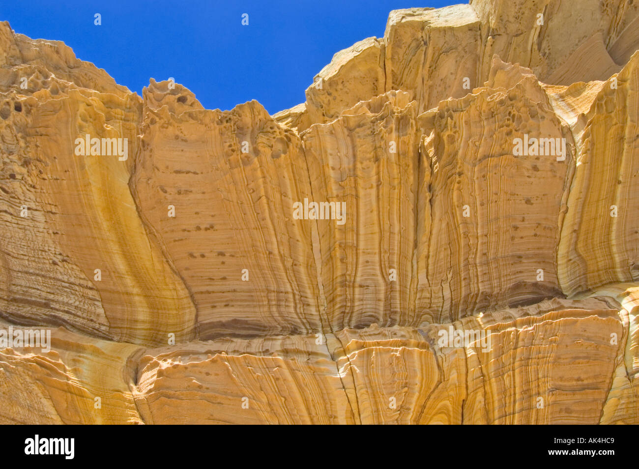 painted cliffs in Maria Island Nationalpark Tasmania Australia Stock ...