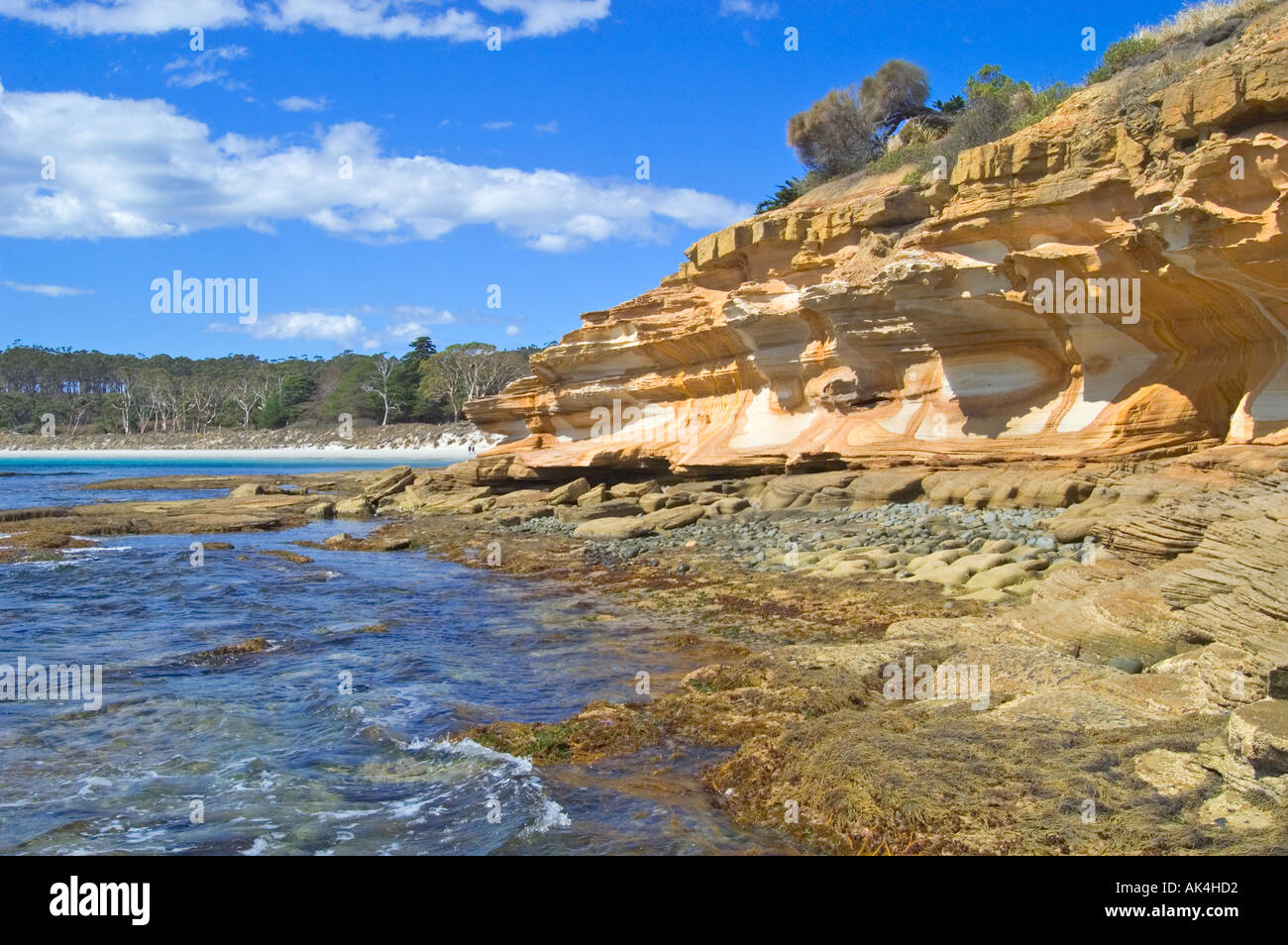 painted cliffs in Maria Island Nationalpark Tasmania Australia Stock ...