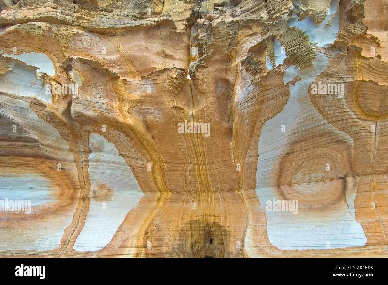 painted cliffs in Maria Island Nationalpark Tasmania Australia Stock ...