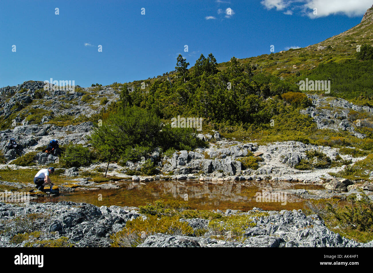 tarns on Cradle Cirque Overland Track in Cradle Mountain Lake St Clair ...