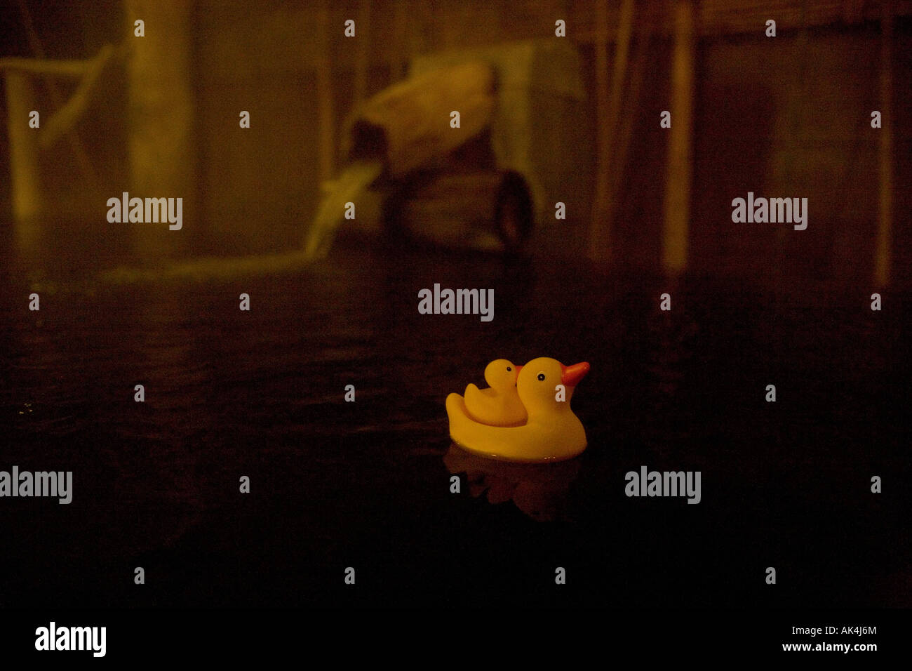 Rubber duck in hot spring Stock Photo - Alamy