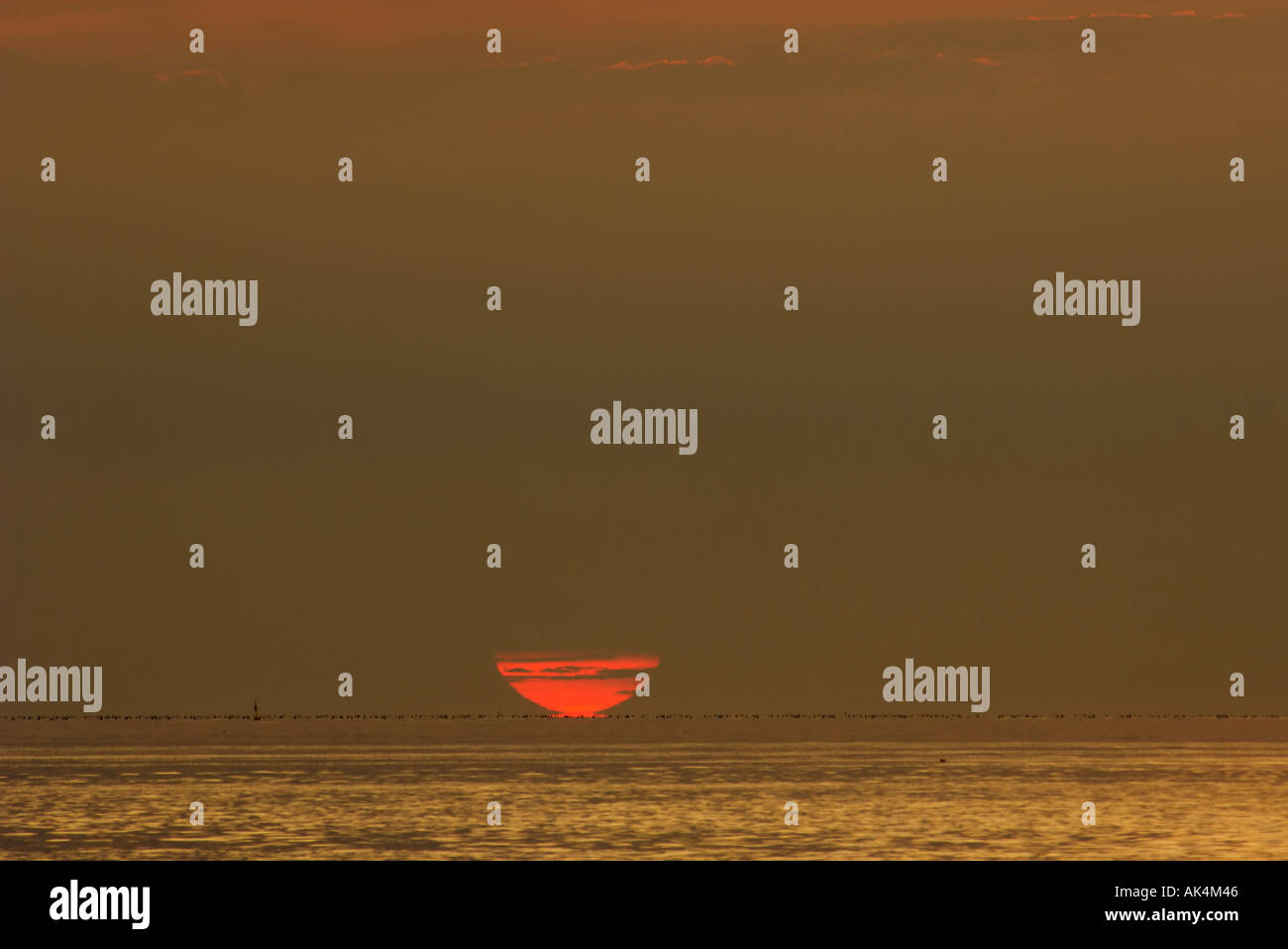 red rising sun on the horizon hemisphere above the sea Stock Photo - Alamy