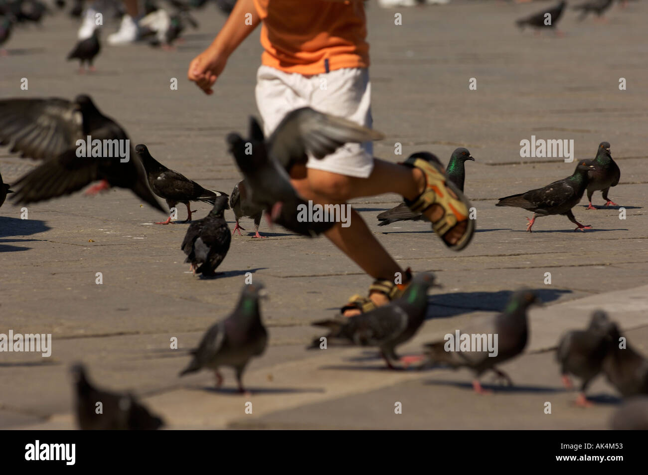 child running around between up flying doves Stock Photo - Alamy