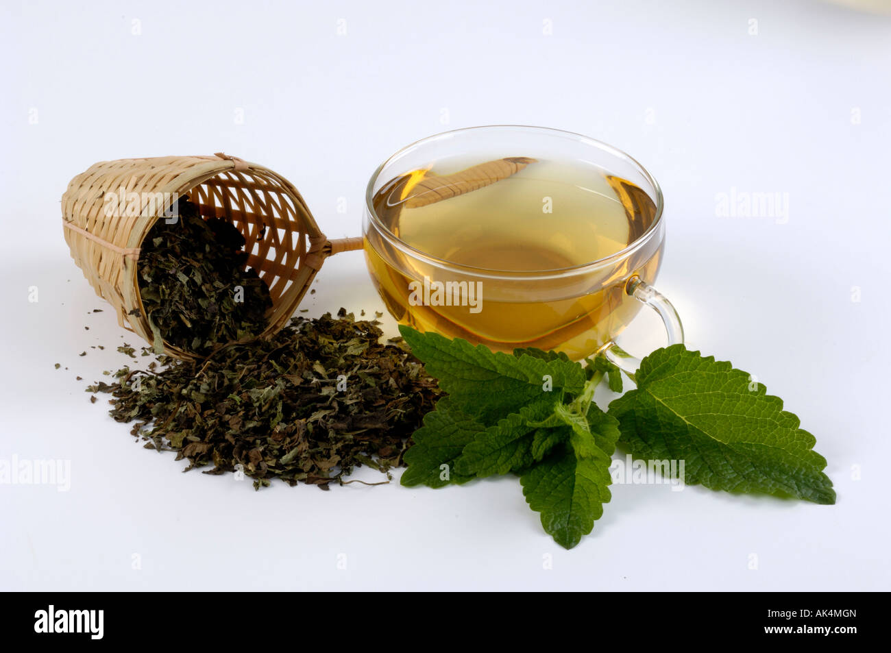 Lemon Balm / Sweet Balm Stock Photo - Alamy