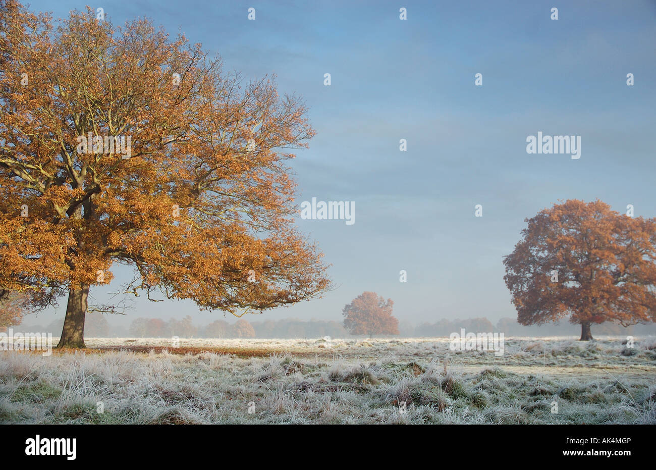 One of londons most beautiful royal parks hi-res stock photography and ...