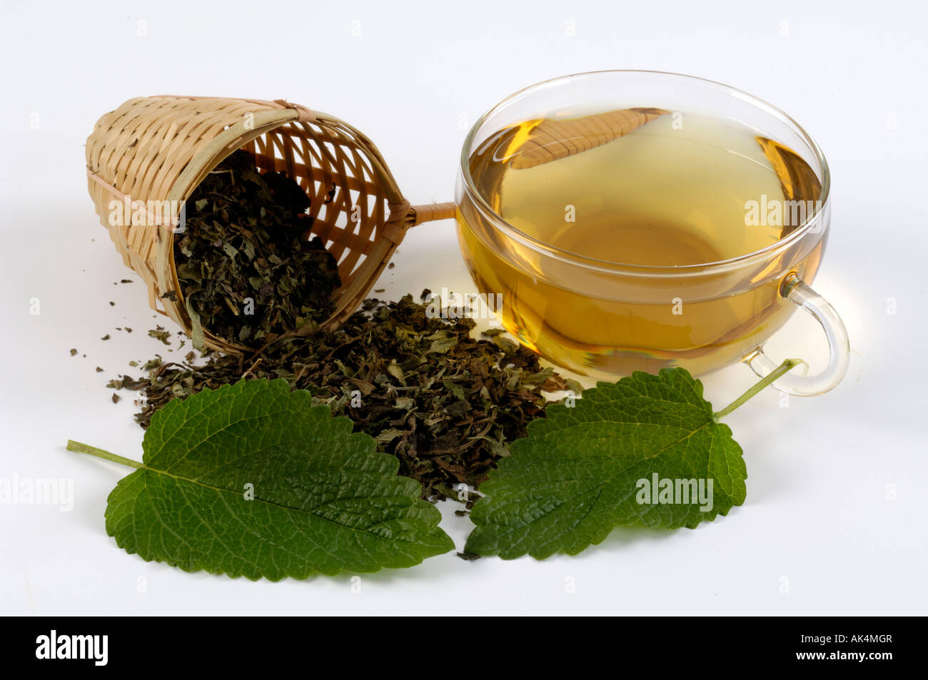 Lemon Balm / Sweet Balm Stock Photo - Alamy
