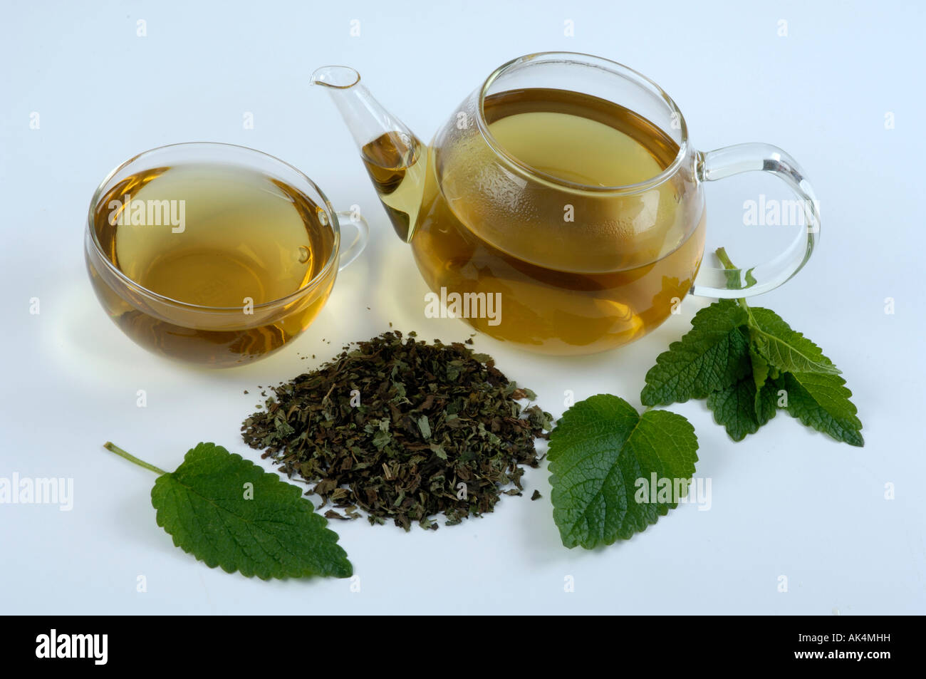 Lemon Balm / Sweet Balm Stock Photo - Alamy