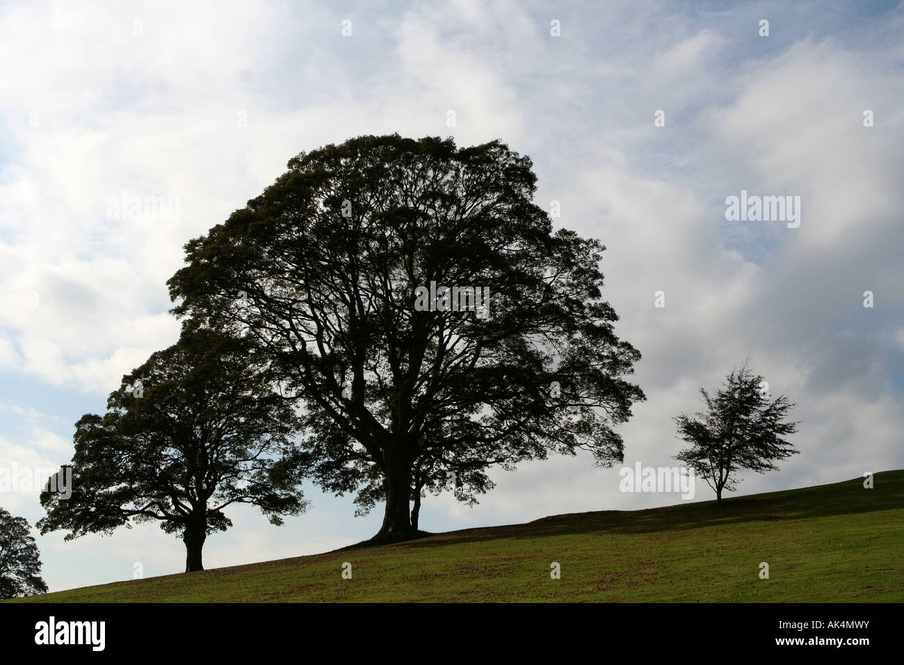 Spa approach hi-res stock photography and images - Alamy