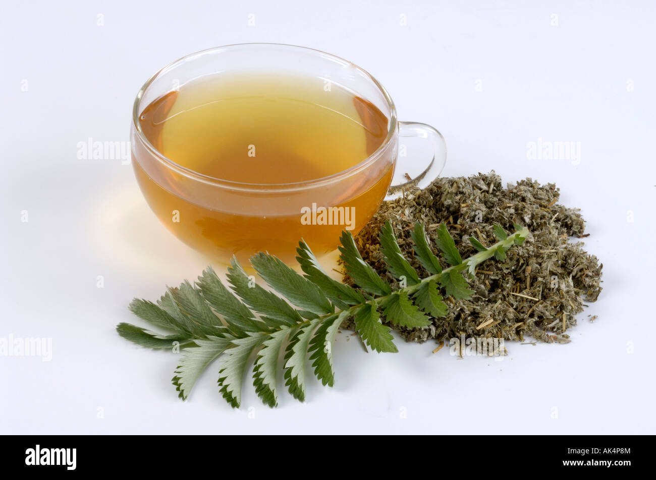 Dried silverweed hi-res stock photography and images - Alamy