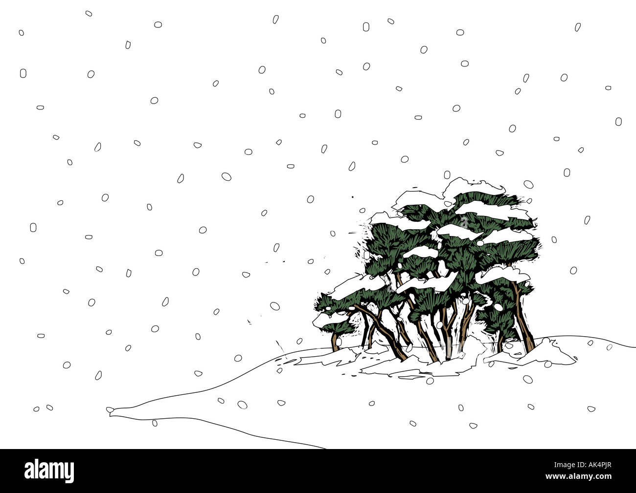 Trees covered with snow in snowing Stock Photo - Alamy