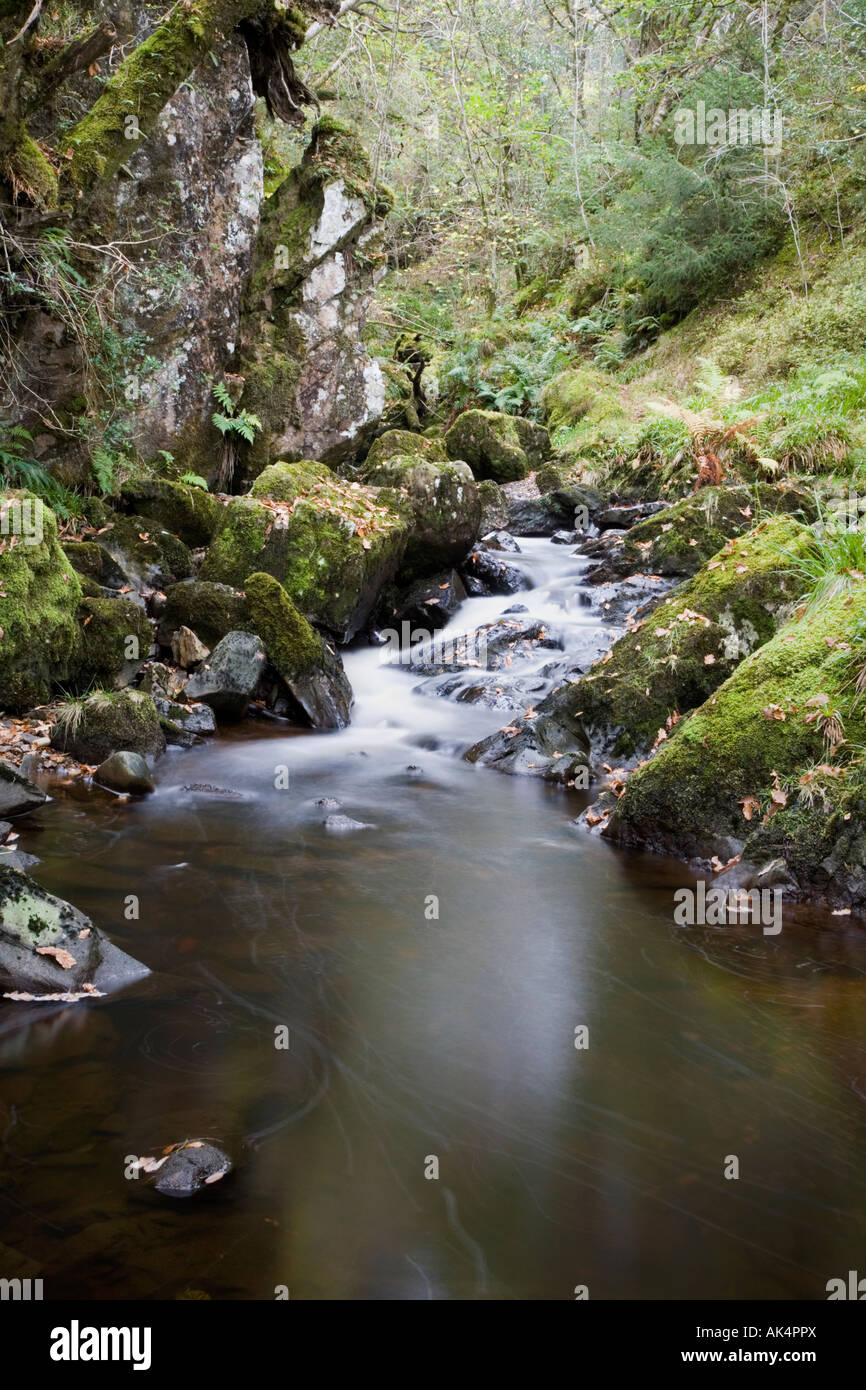 Stream near David Marshall Lodge Visitor Centre in the Queen Elizabeth ...