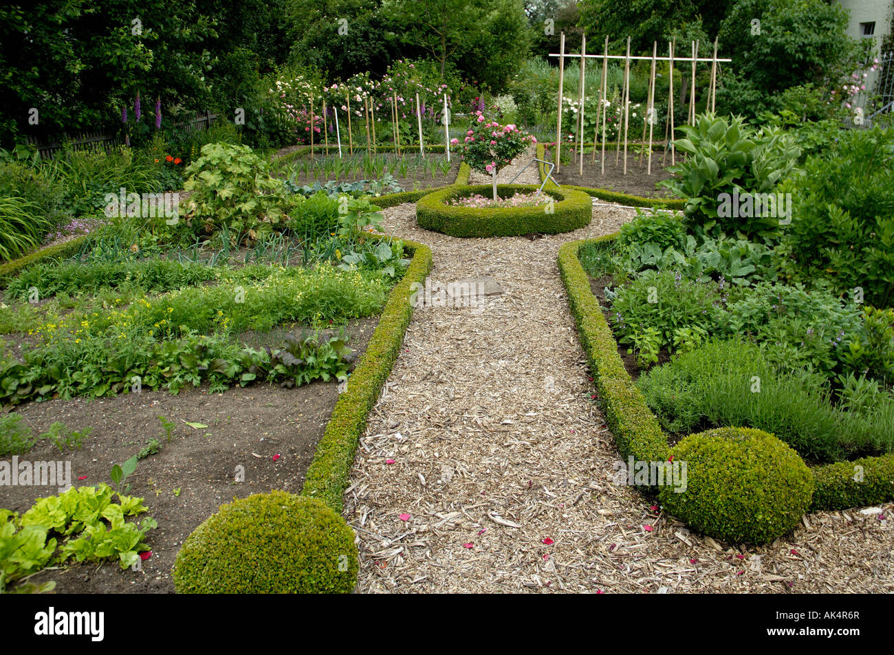 Boxwood shrubs gardens hi-res stock photography and images - Alamy