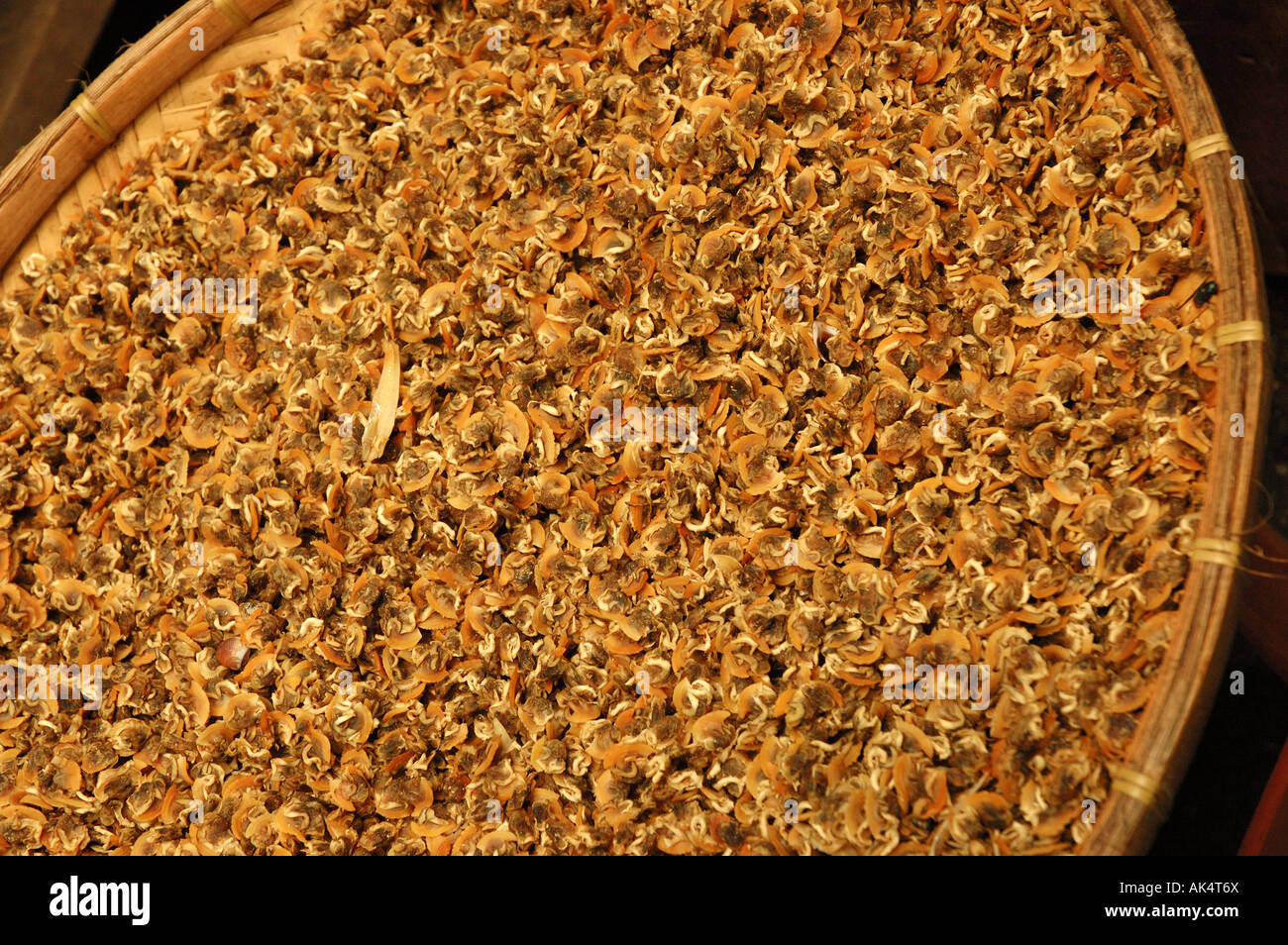 Dried prawns at a market in Bandar Seri Begawan, Brunei Stock Photo - Alamy
