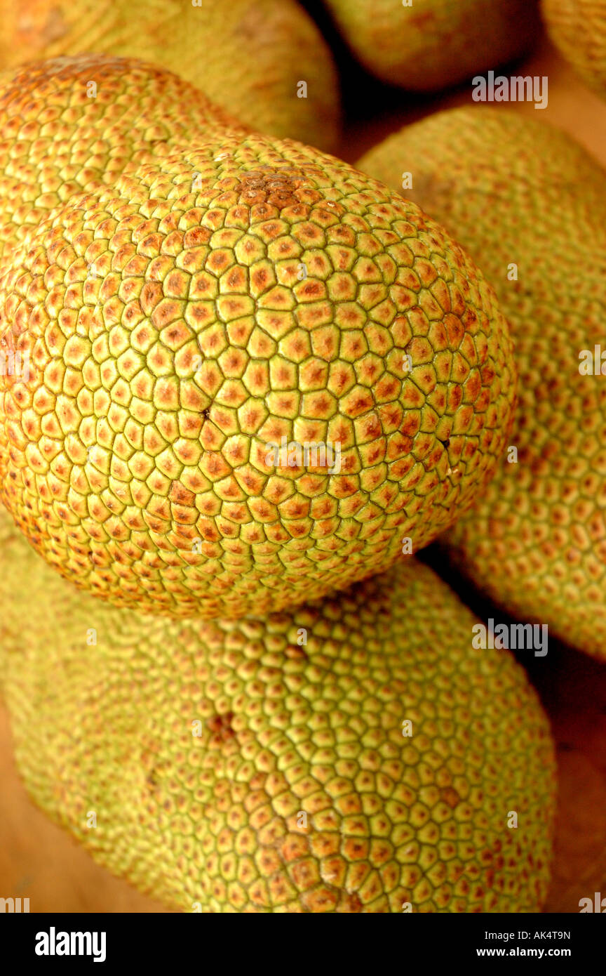 Durian fruit at a market in Brunei Stock Photo - Alamy