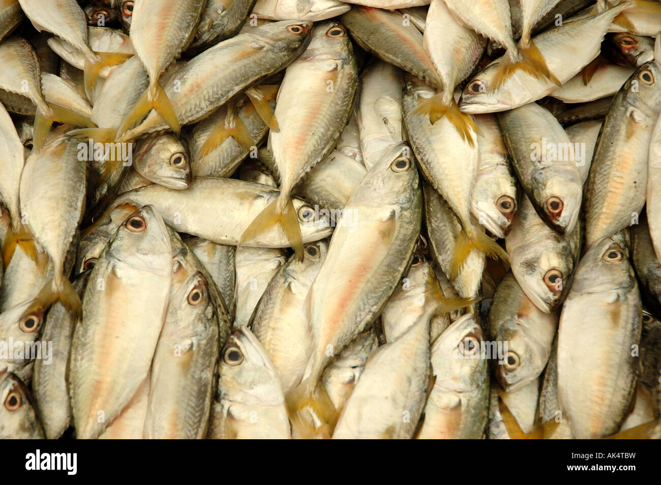 Dried fish in market brunei hi-res stock photography and images - Alamy