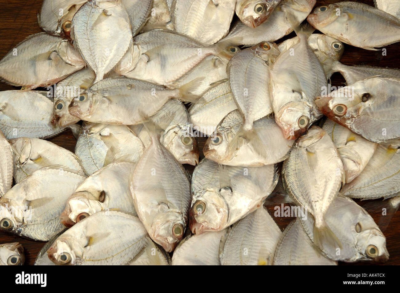 Flat Fish at a market in Brunei Stock Photo - Alamy