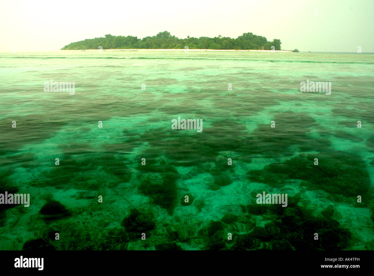 Coral reef and Sipadan Island in Borneo Stock Photo - Alamy