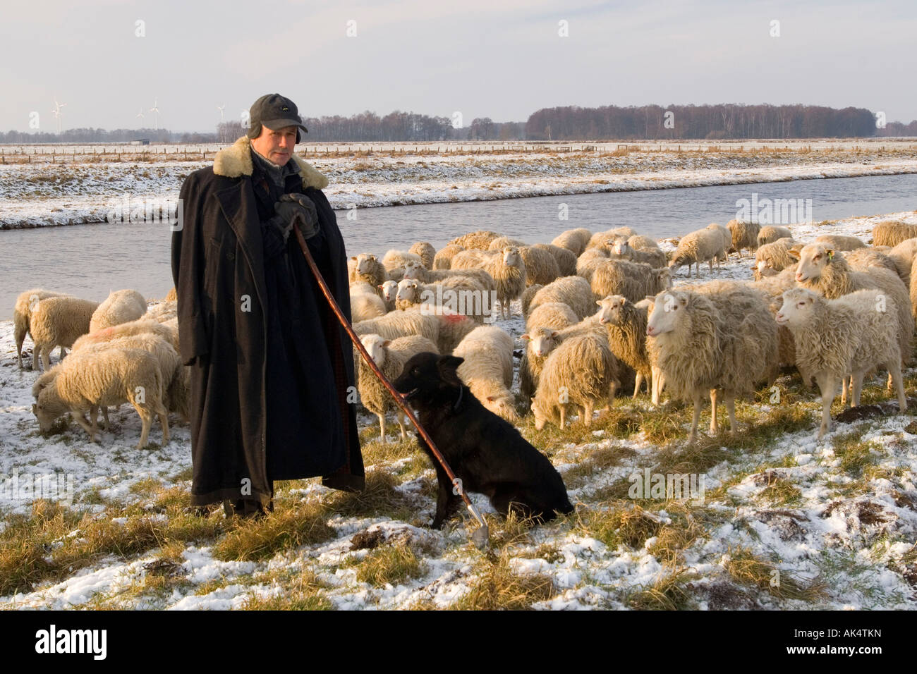 Shepherd with flock and dog Stock Photo - Alamy