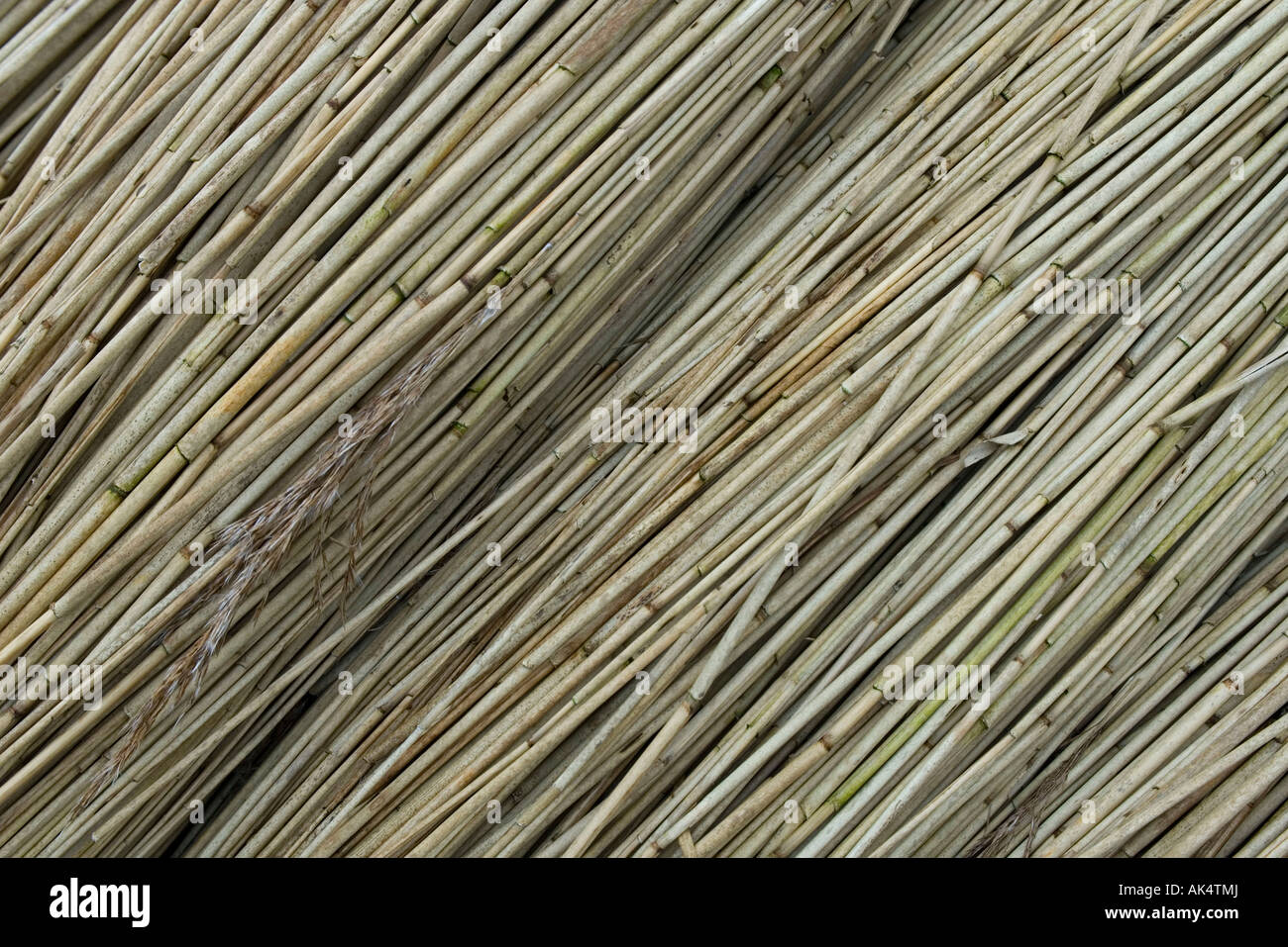 Reed structures hi-res stock photography and images - Alamy