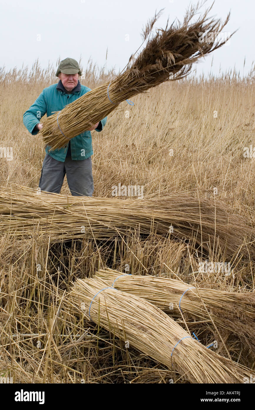 Man with reed Stock Photo - Alamy
