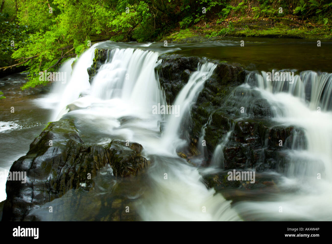 Water falls on River Nedd Fechan Pontneddfechan Powys Wales Stock Photo ...