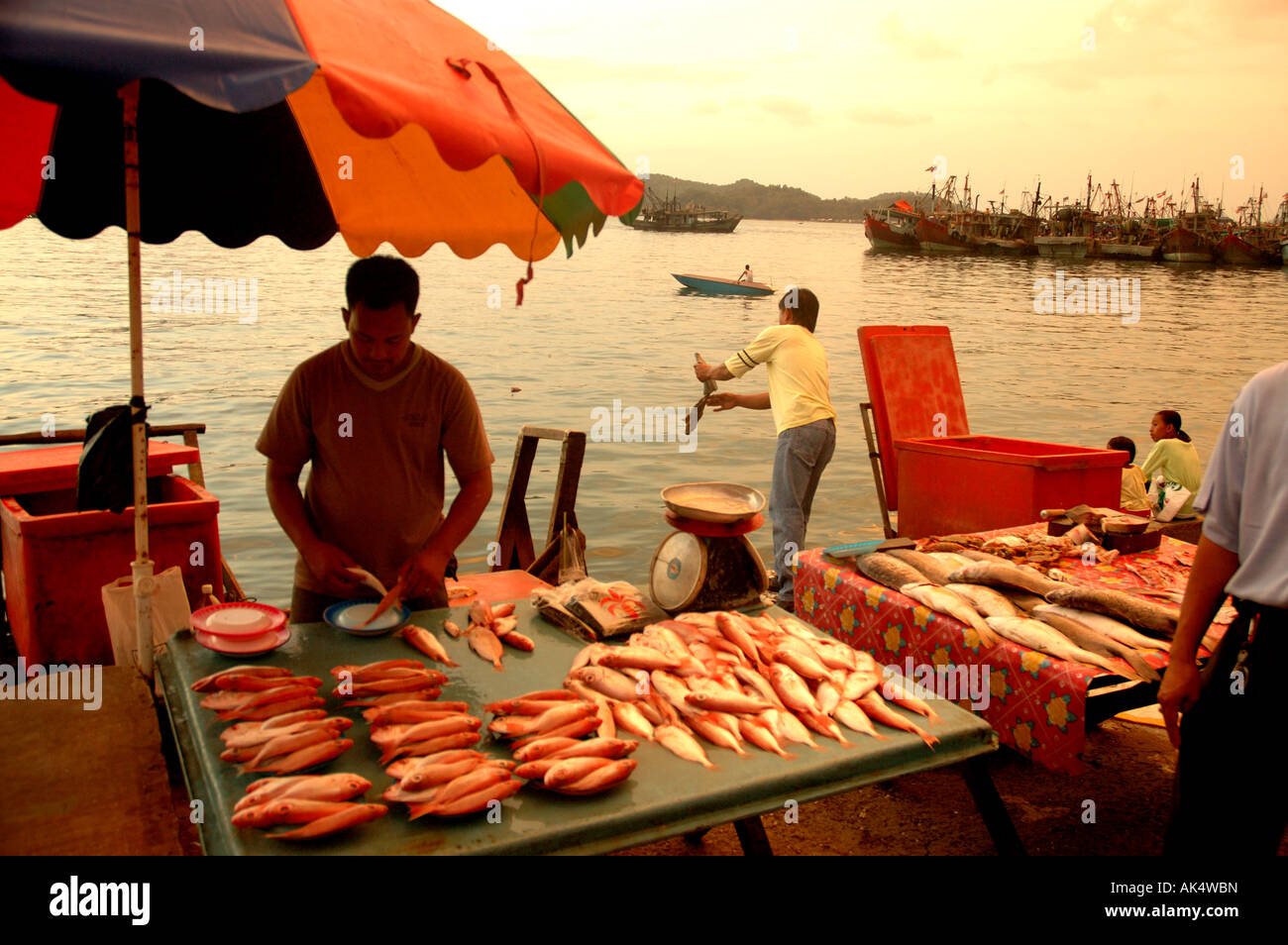 Fish in a market in Kota Kinabalu in Borneo Stock Photo - Alamy