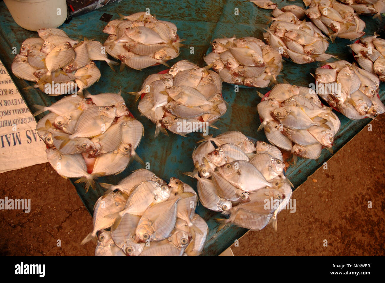 Fish in a market in Kota Kinabalu in Borneo Stock Photo - Alamy