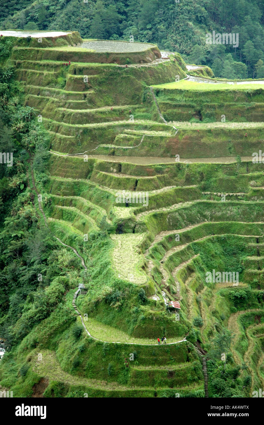 Rice Terraces in Banaue, Philippines Stock Photo - Alamy