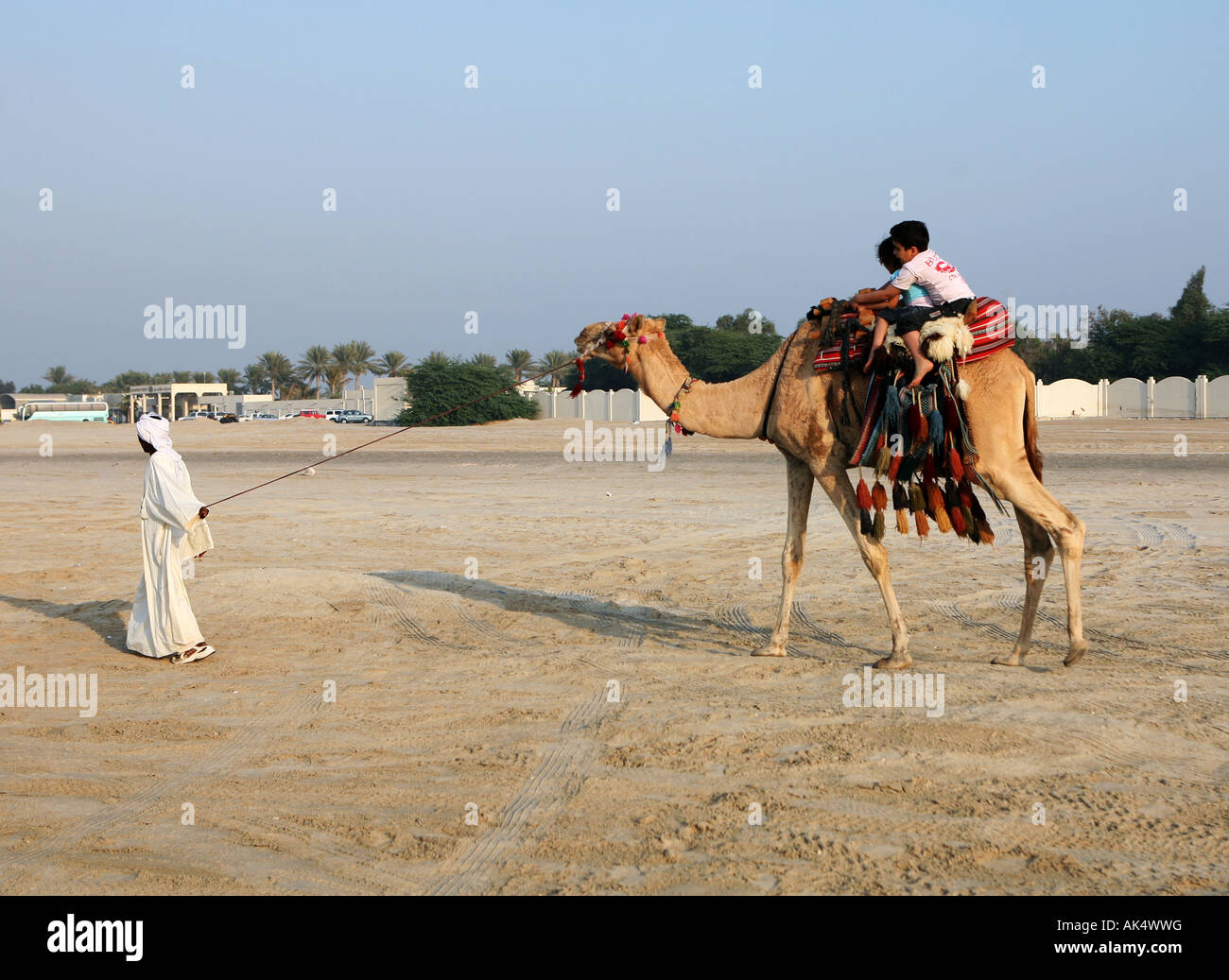 Children enjoy a ride on the back of a camel outside the Sealine Beach ...