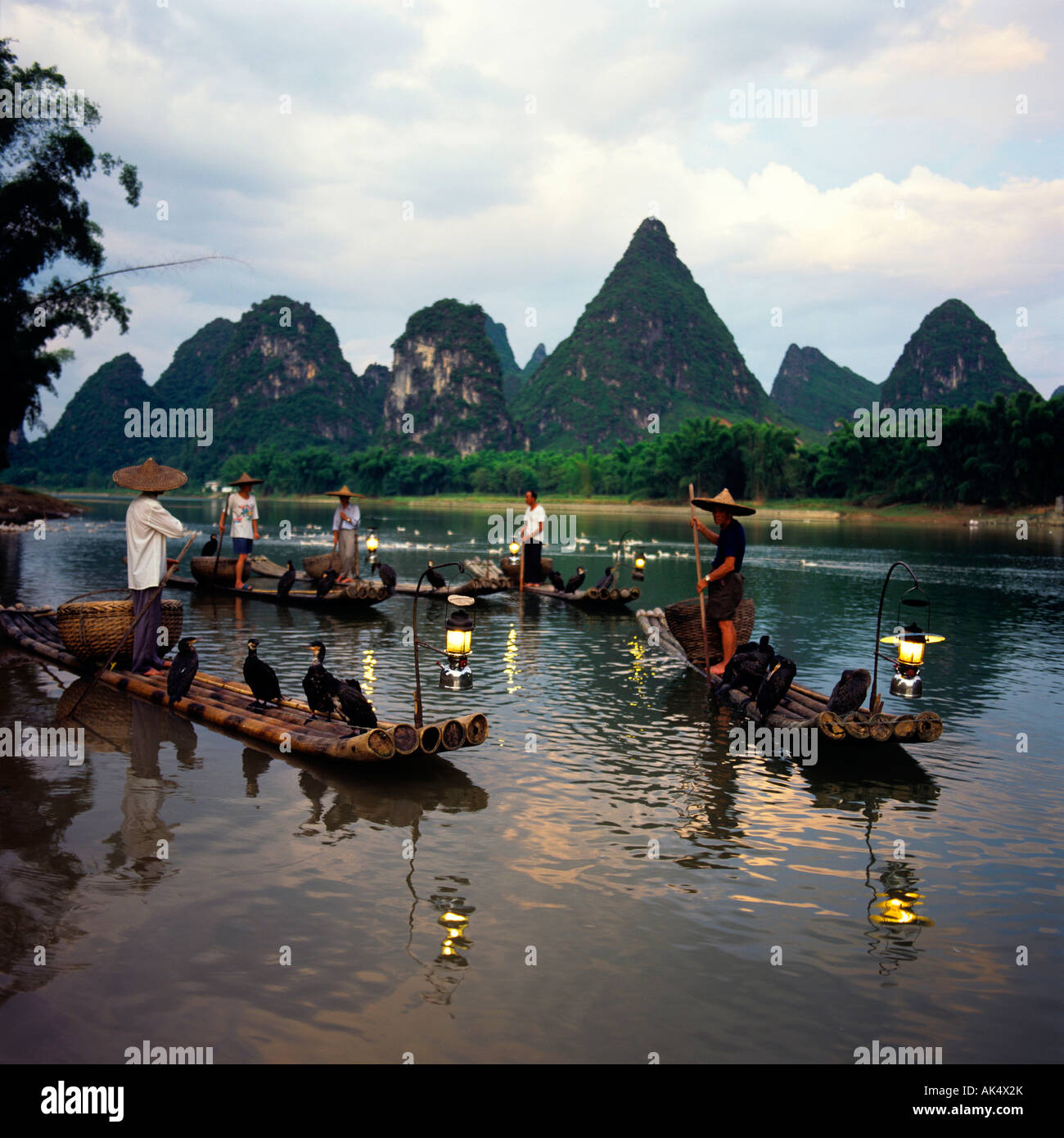 Fishermen with Comorants Stock Photo - Alamy